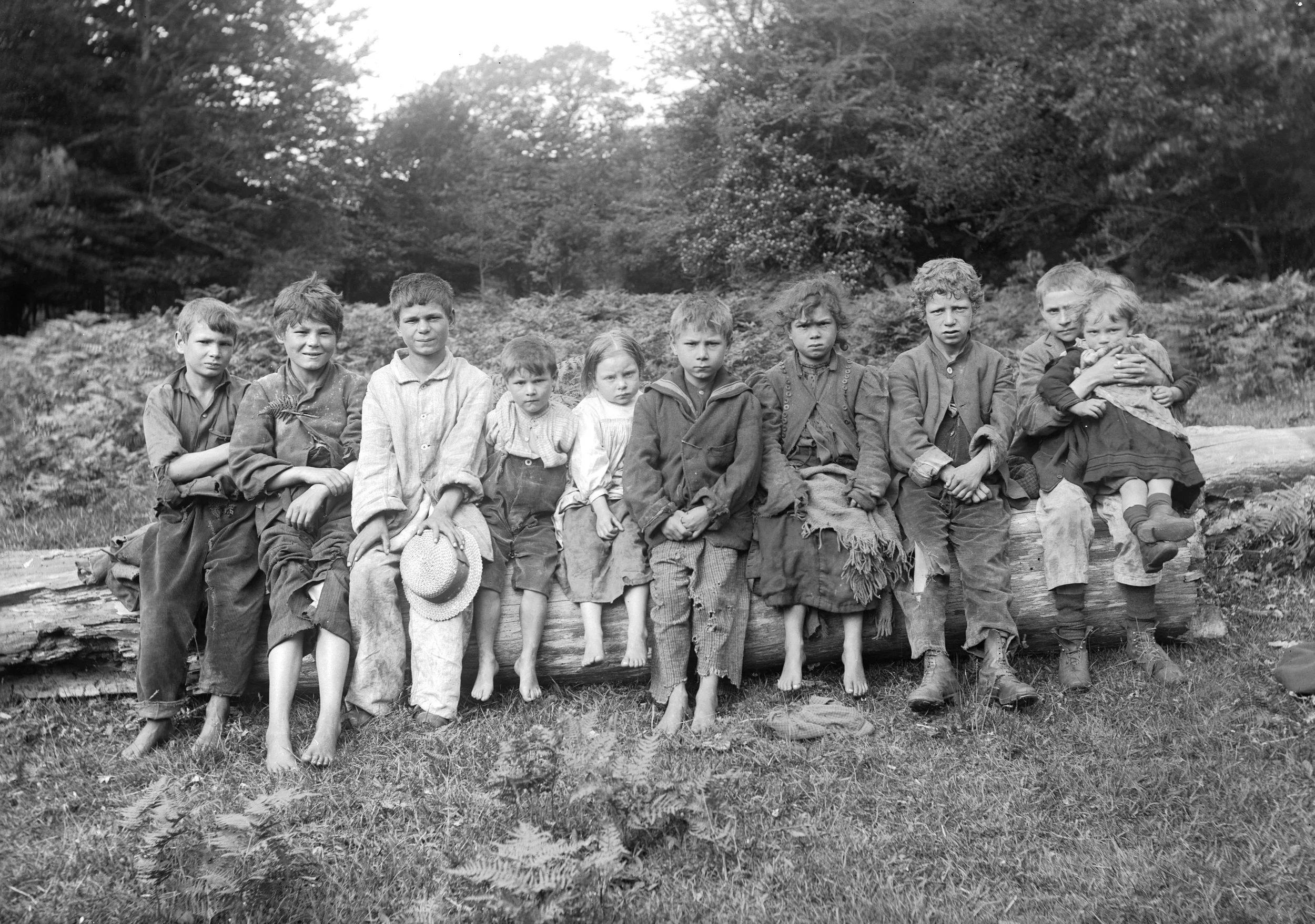 New Forest Museum — New Forest Heritage