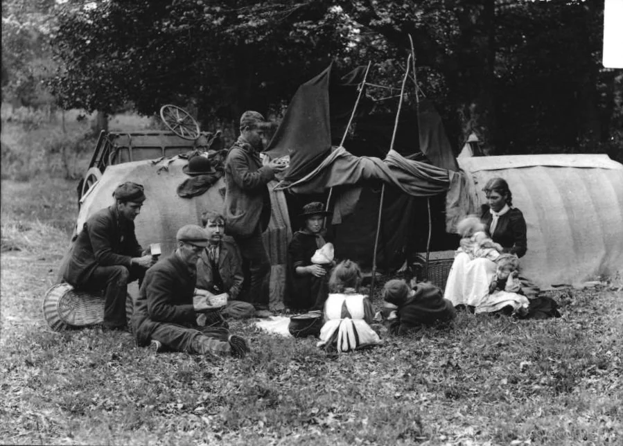 New Forest Museum — New Forest Heritage