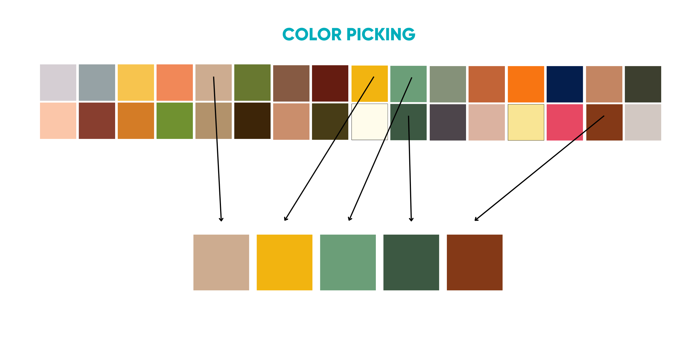 How to choose a color palette for your brand — Kristen Mann Graphic ...