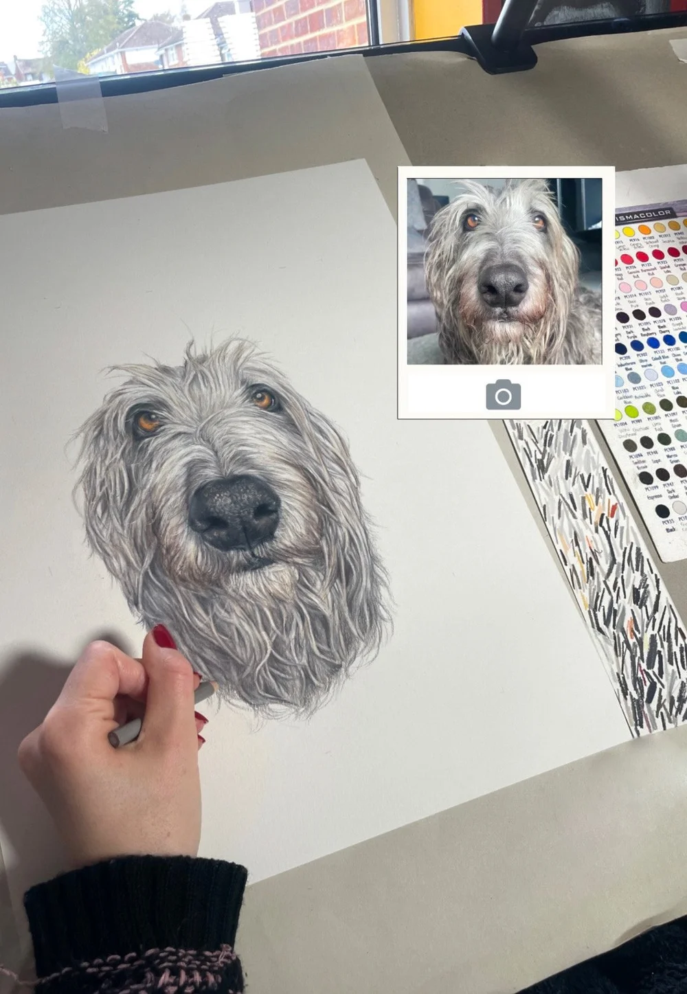 Pet portraits from photos | Pet portrait commissions | Pet artist ...