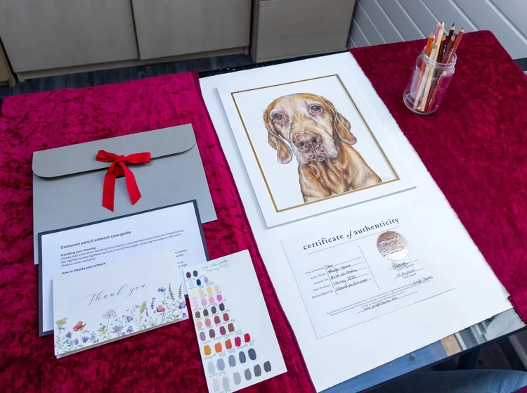 Pet portraits from photos | Pet portrait commissions | Pet artist ...