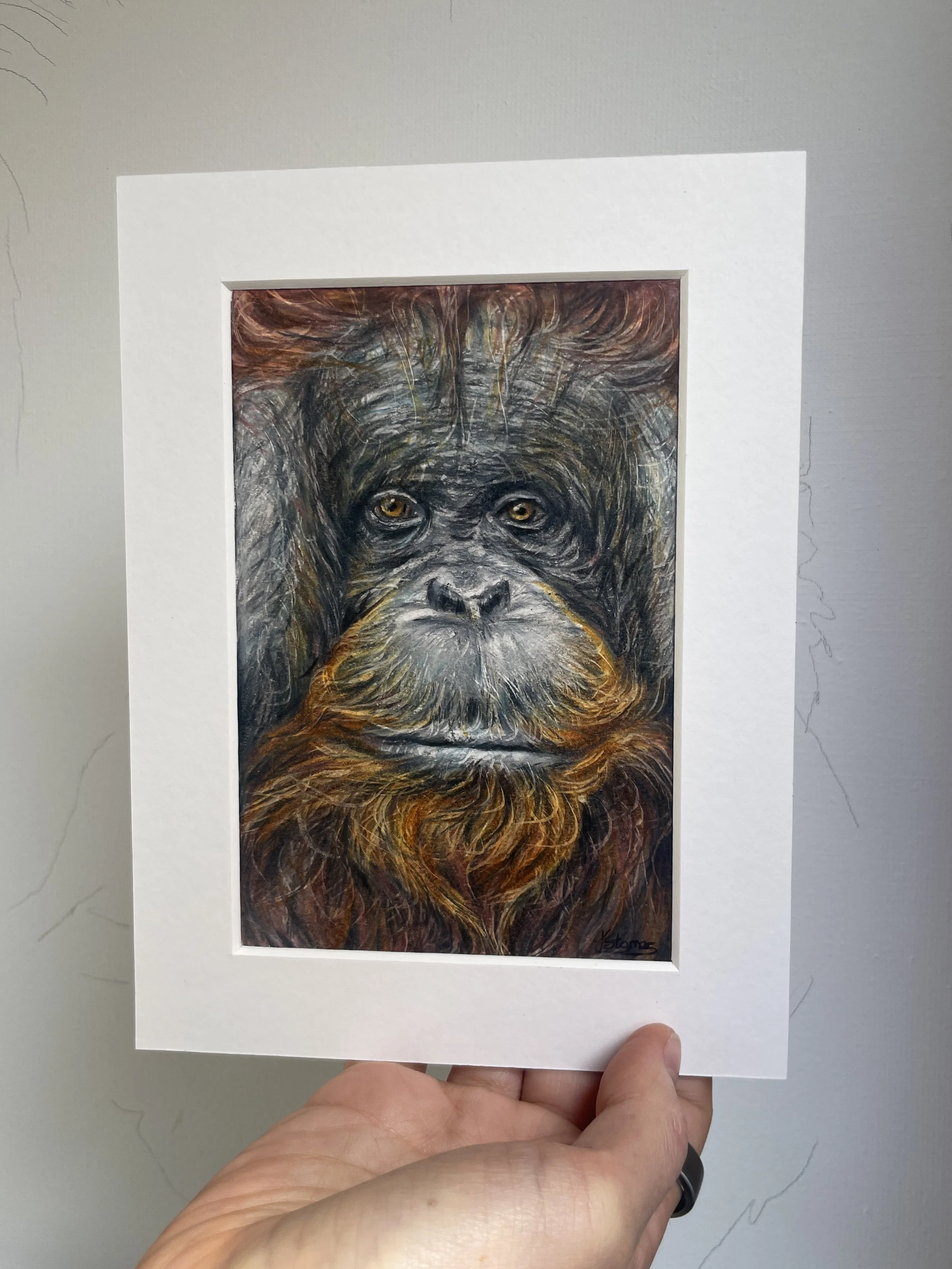 Wildlife Art | Wildlife portrait | Wildlife paintings — Jennifer ...