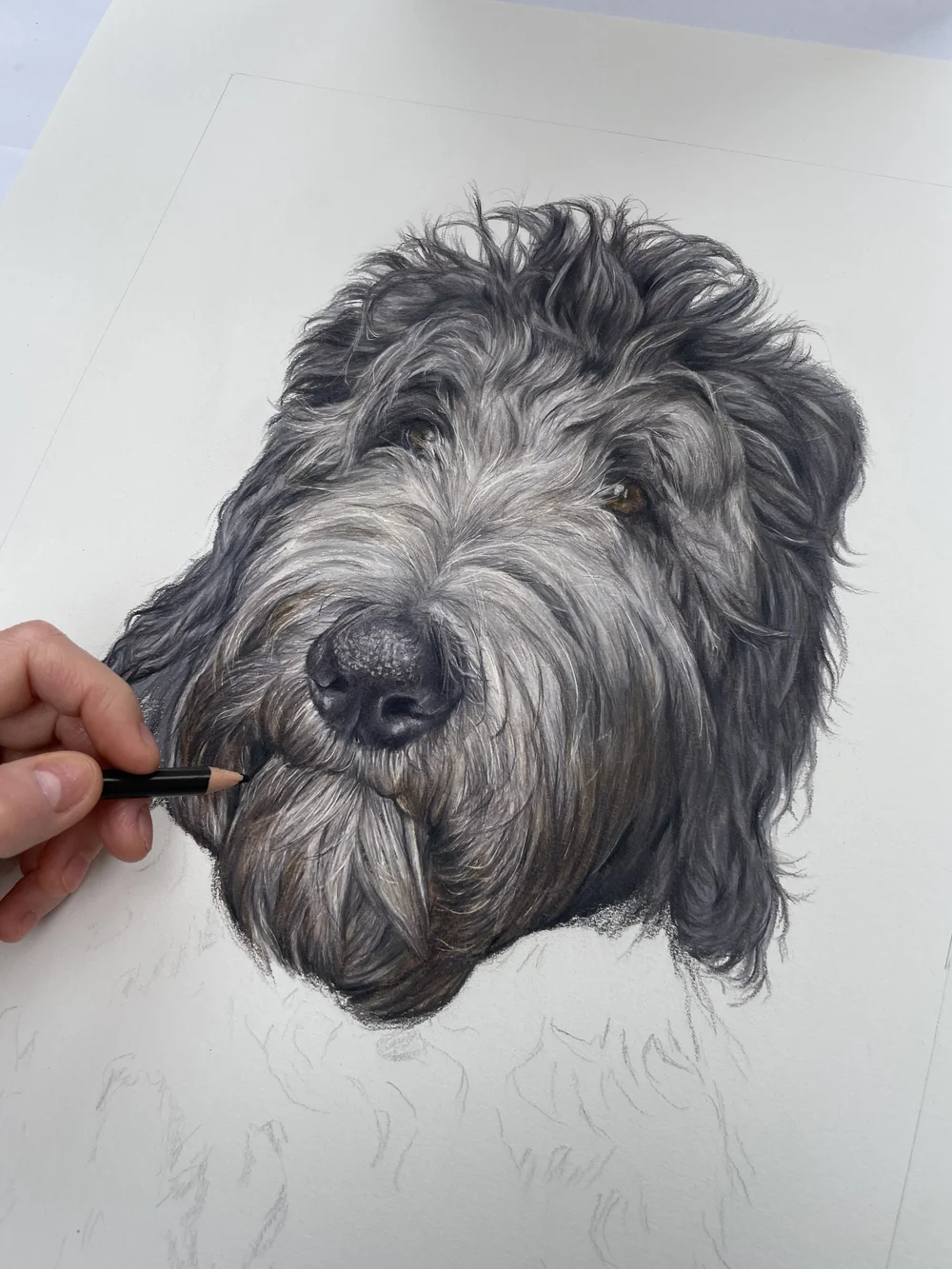Pet portraits from photos | Pet portrait commissions | Pet artist ...