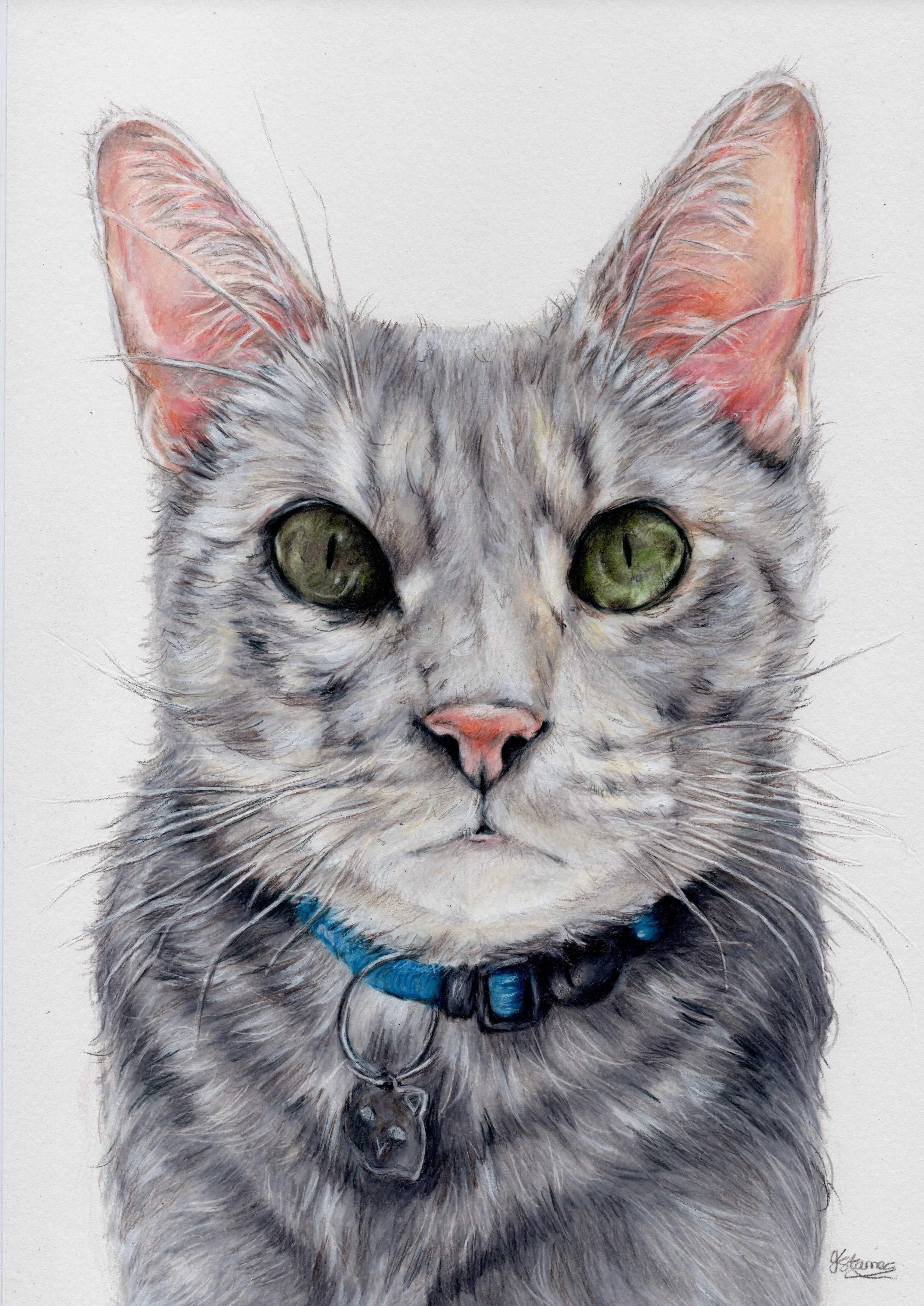 Jennifer Starnes - pet portraits and wildlife art