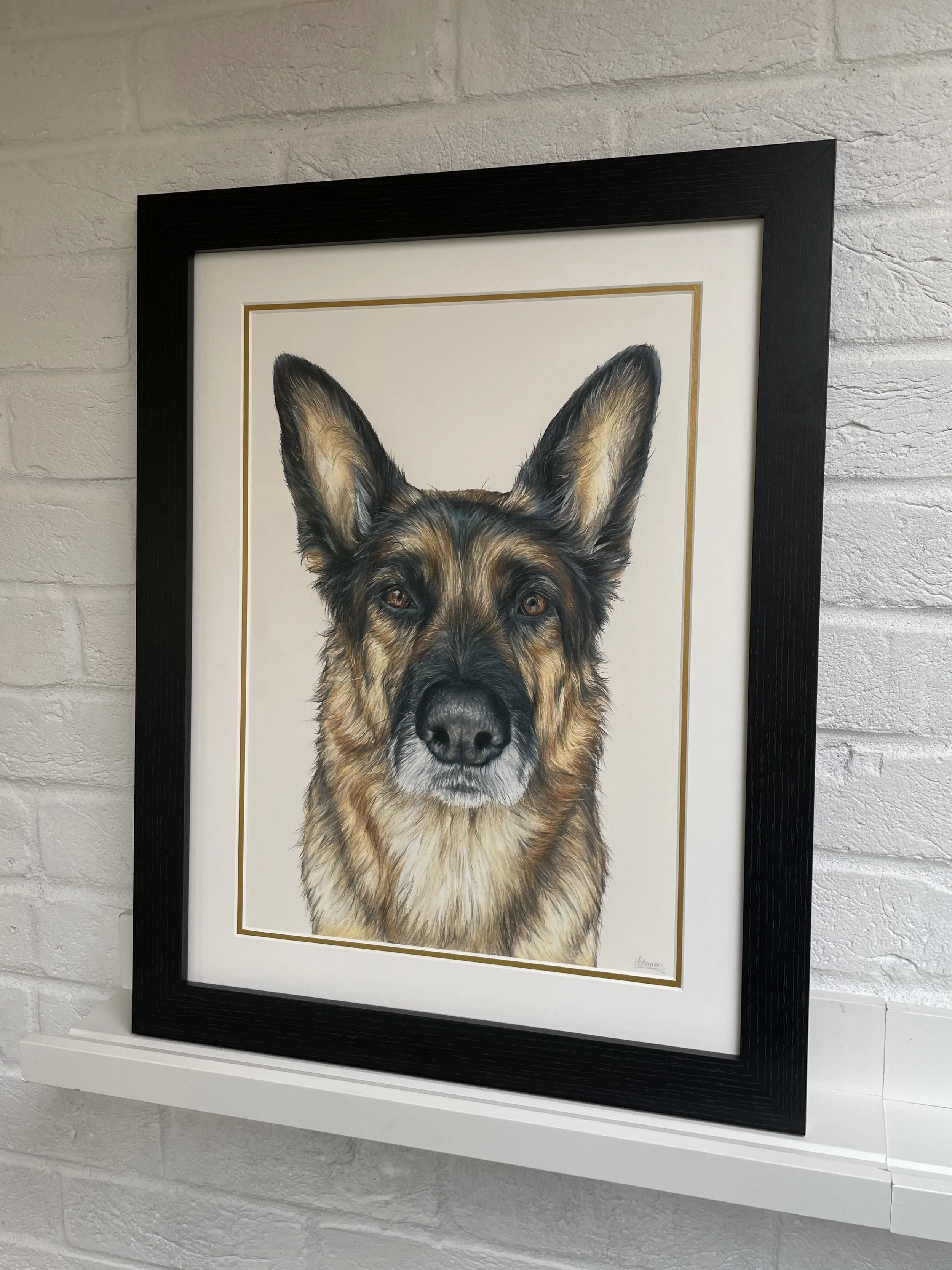 Jennifer Starnes - pet portraits and wildlife art