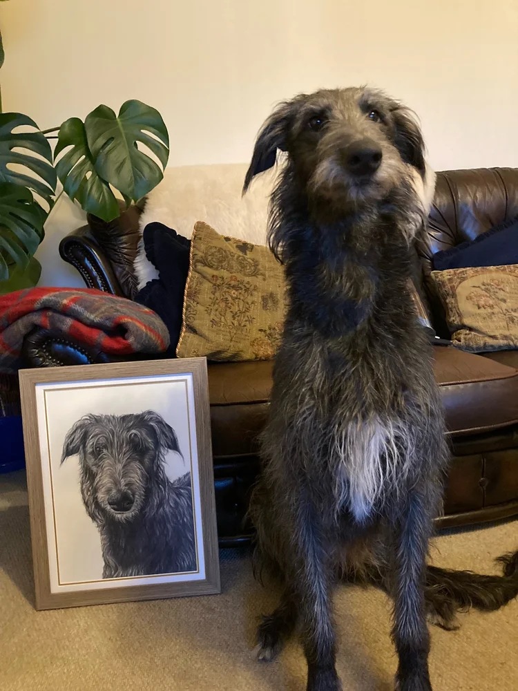 Dog artwork | Cat artwork | Pet artist in Reading, Berkshire — Jennifer ...