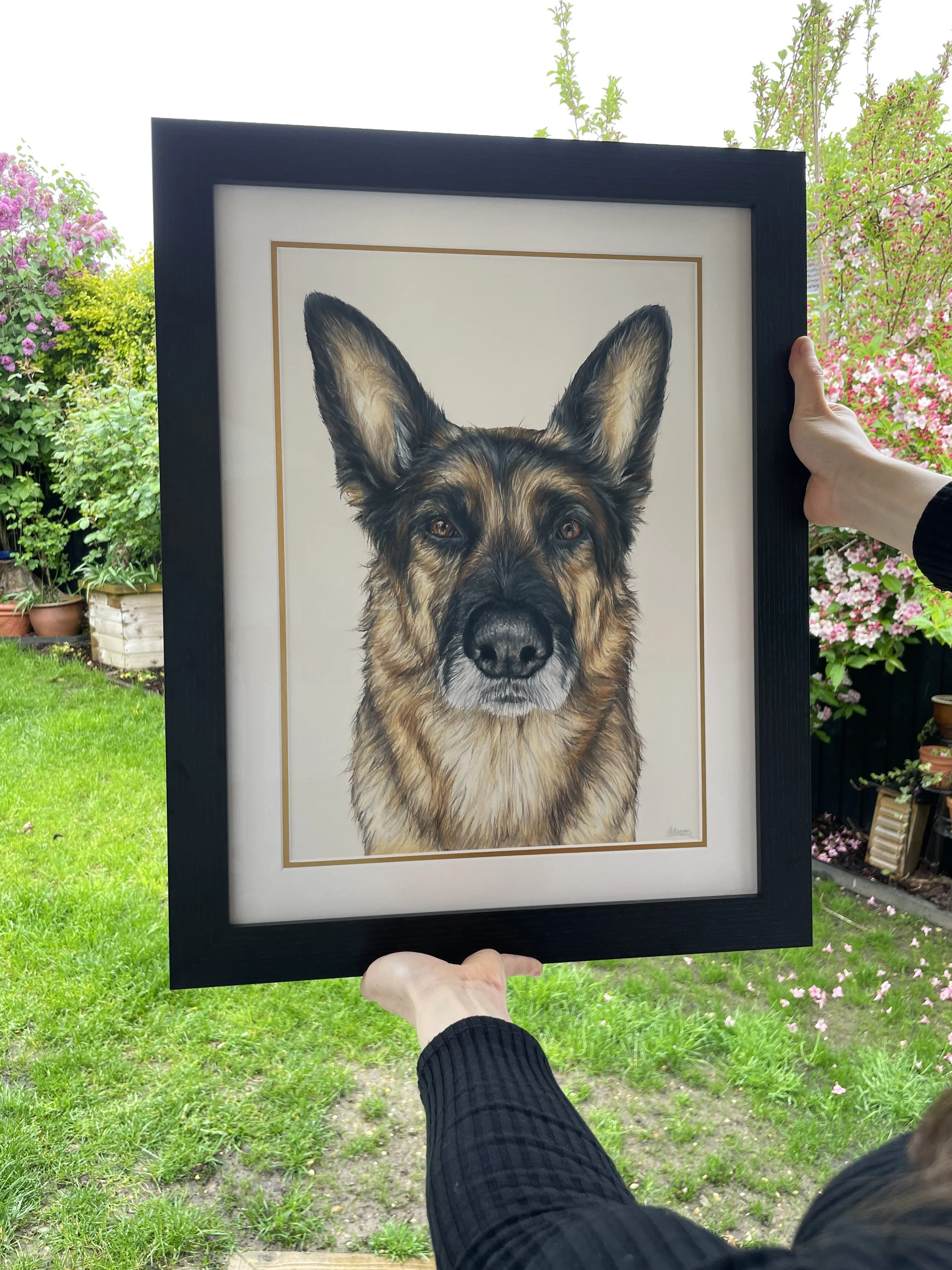 Dog artwork | Cat artwork | Pet artist in Reading, Berkshire — Jennifer ...