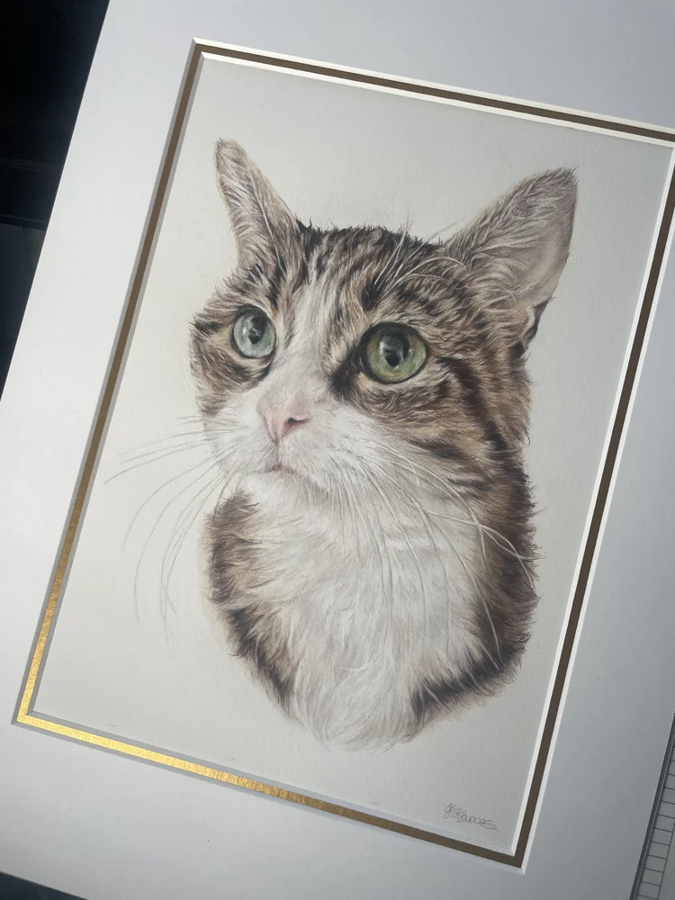 Sustainability | Endangered animals art | Wildlife Art — Jennifer ...