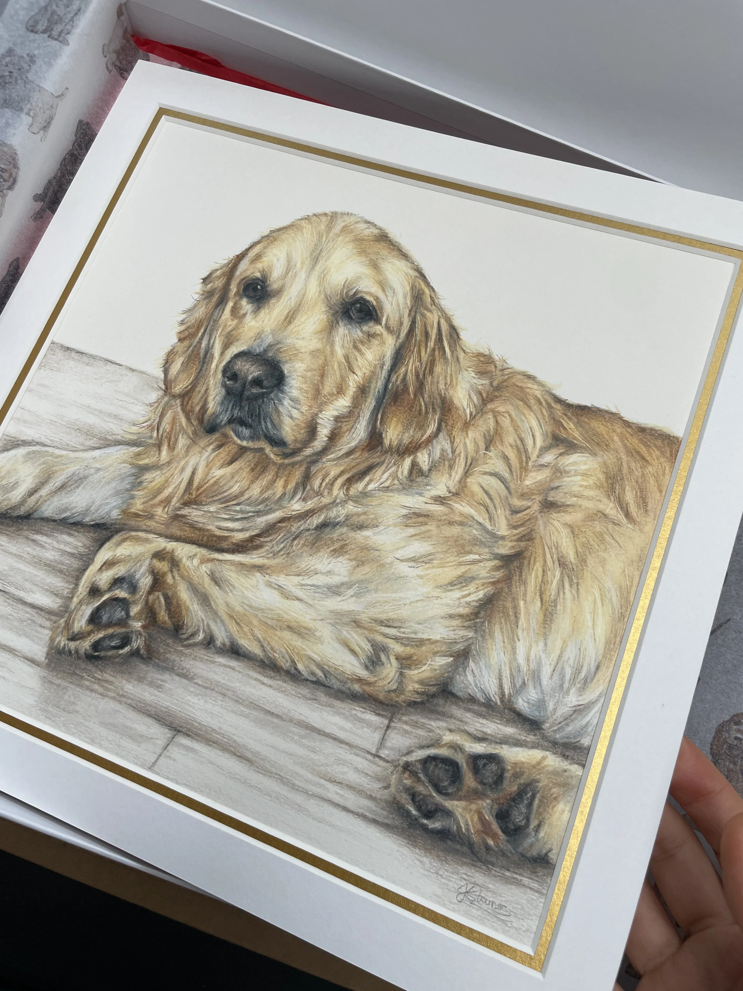 Dog artwork | Cat artwork | Pet artist in Reading, Berkshire — Jennifer ...