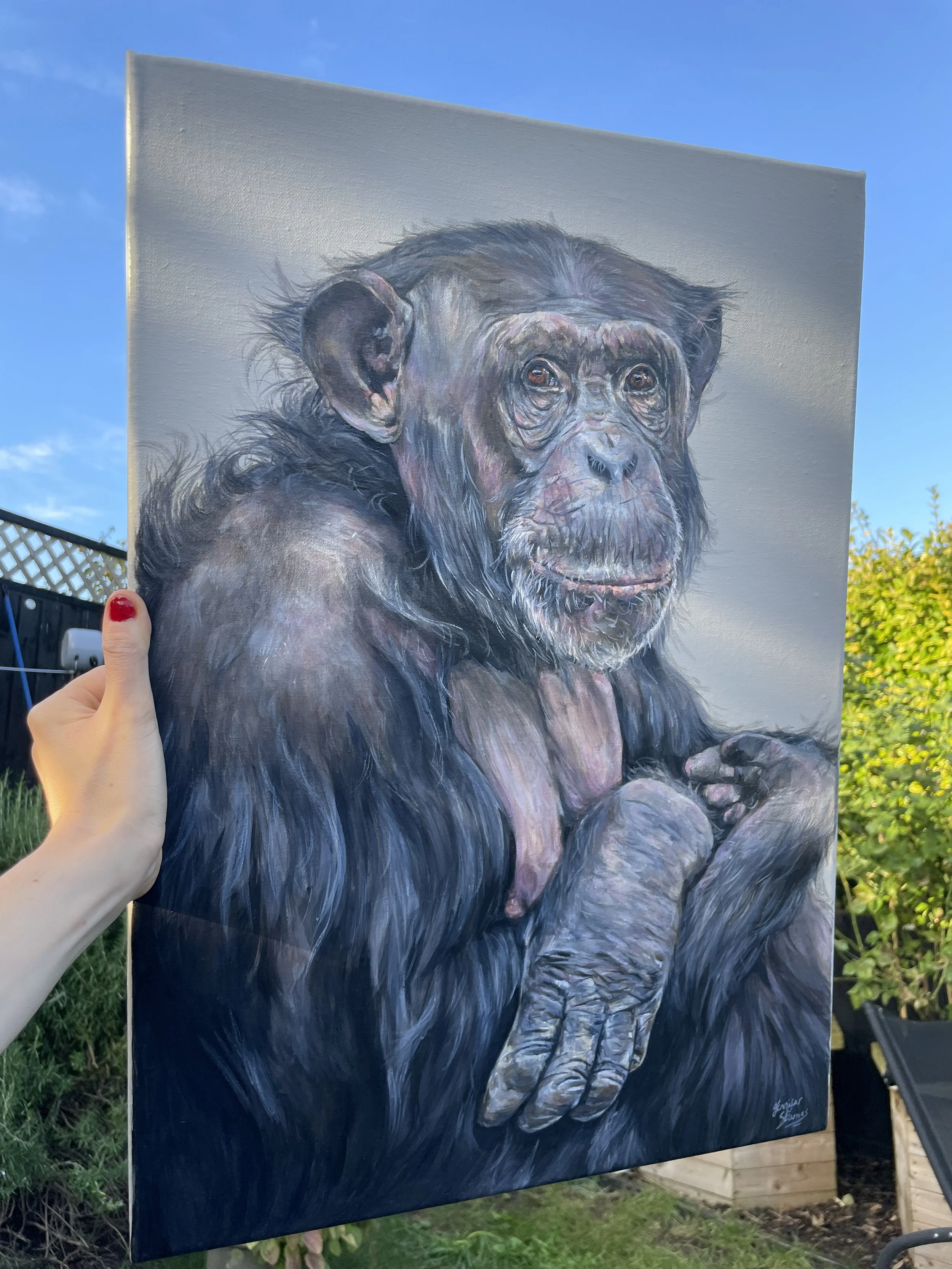 Jennifer Starnes - pet portraits and wildlife art