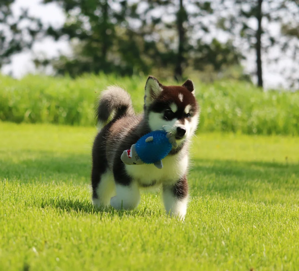 AvaMax (retired) — Home