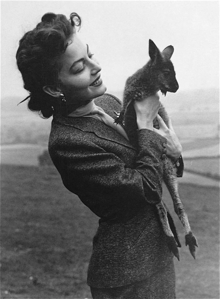 Our Story — Ava Gardner Trust