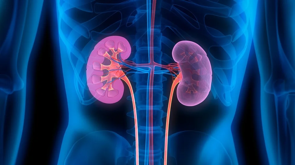 Blue Ridge Nephrology Associates