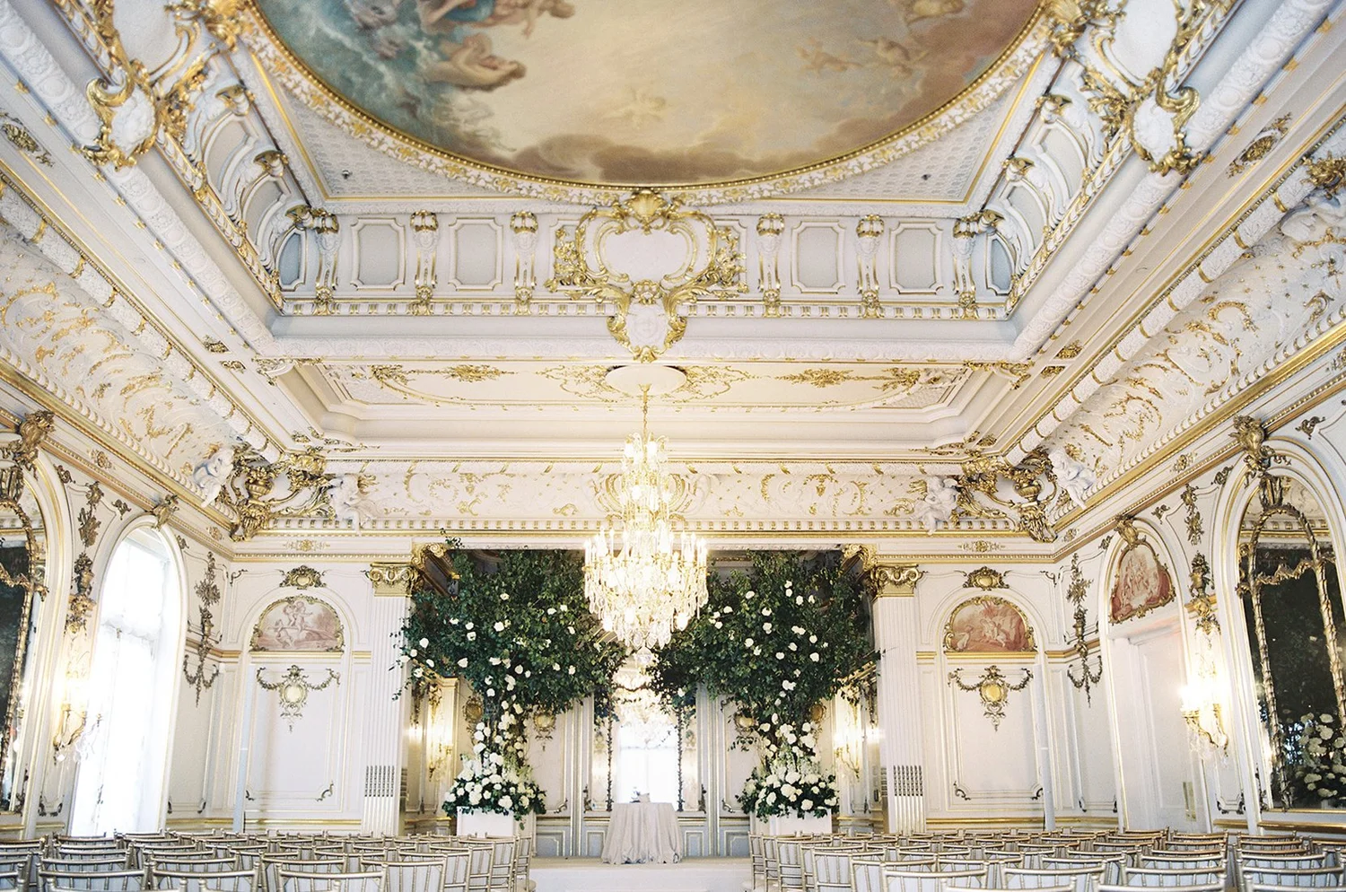 Amaryllis - Event Design House