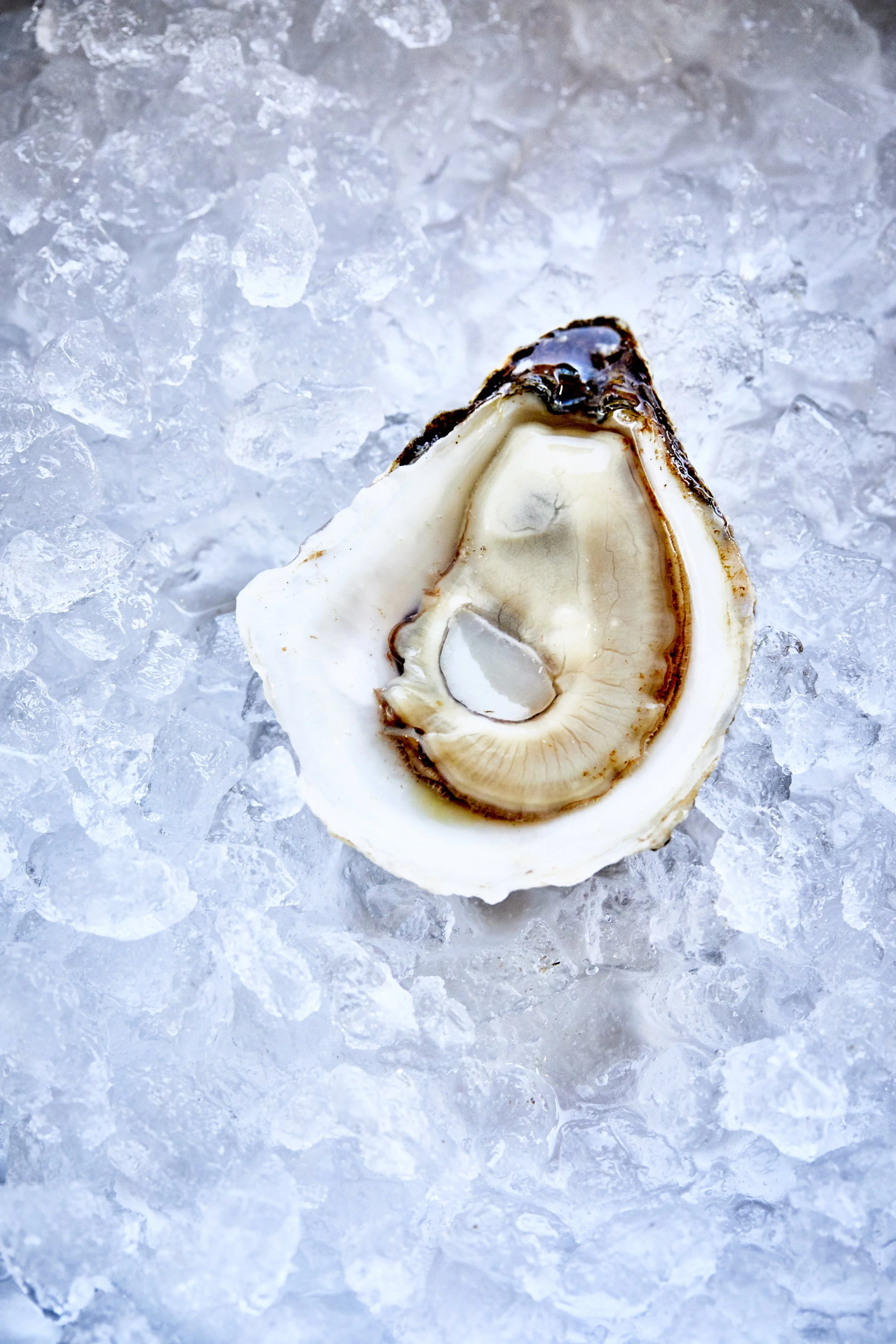 Menu — The Harlow