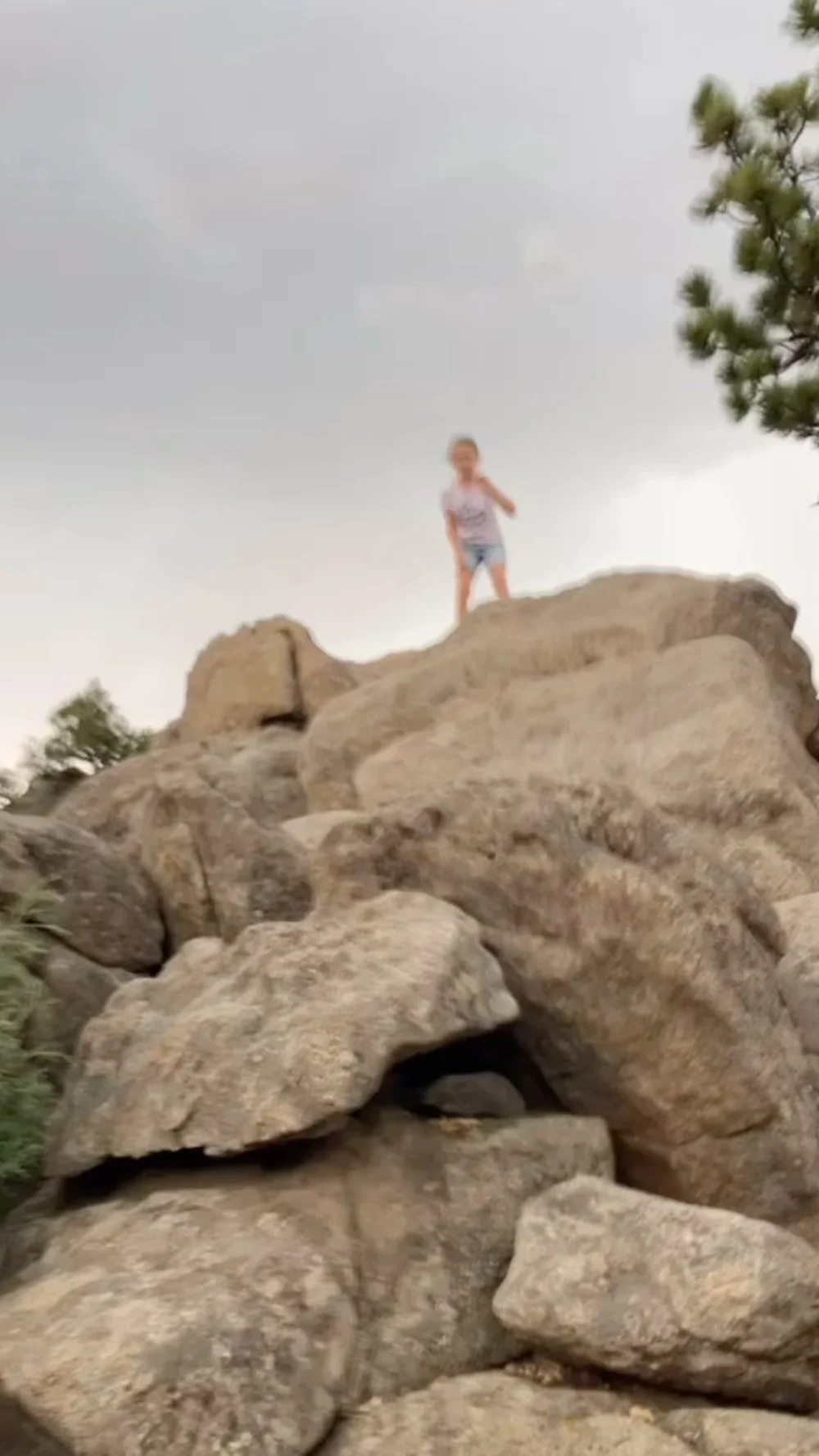 Allison Kaye Interiors