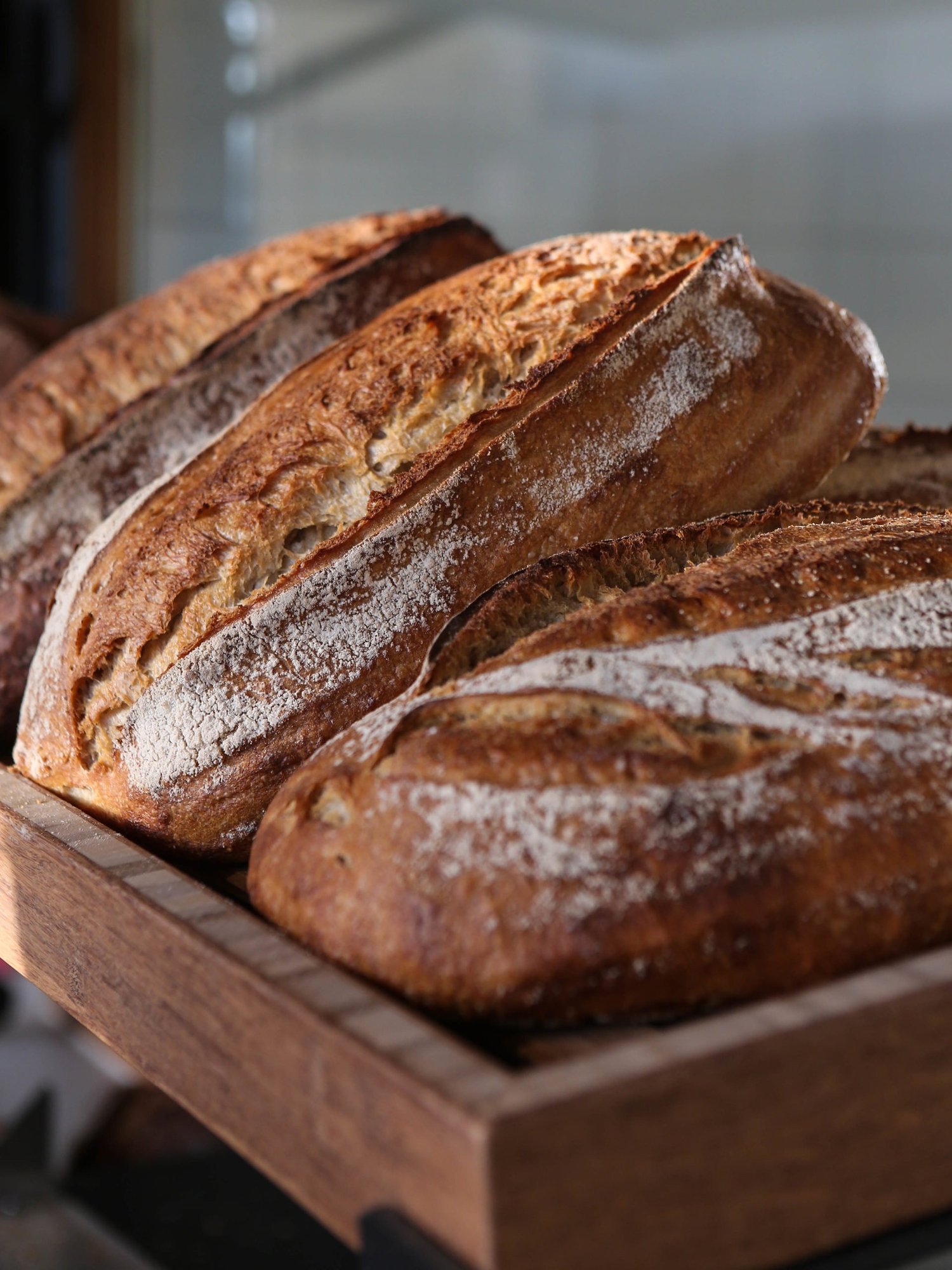 Bbrood
