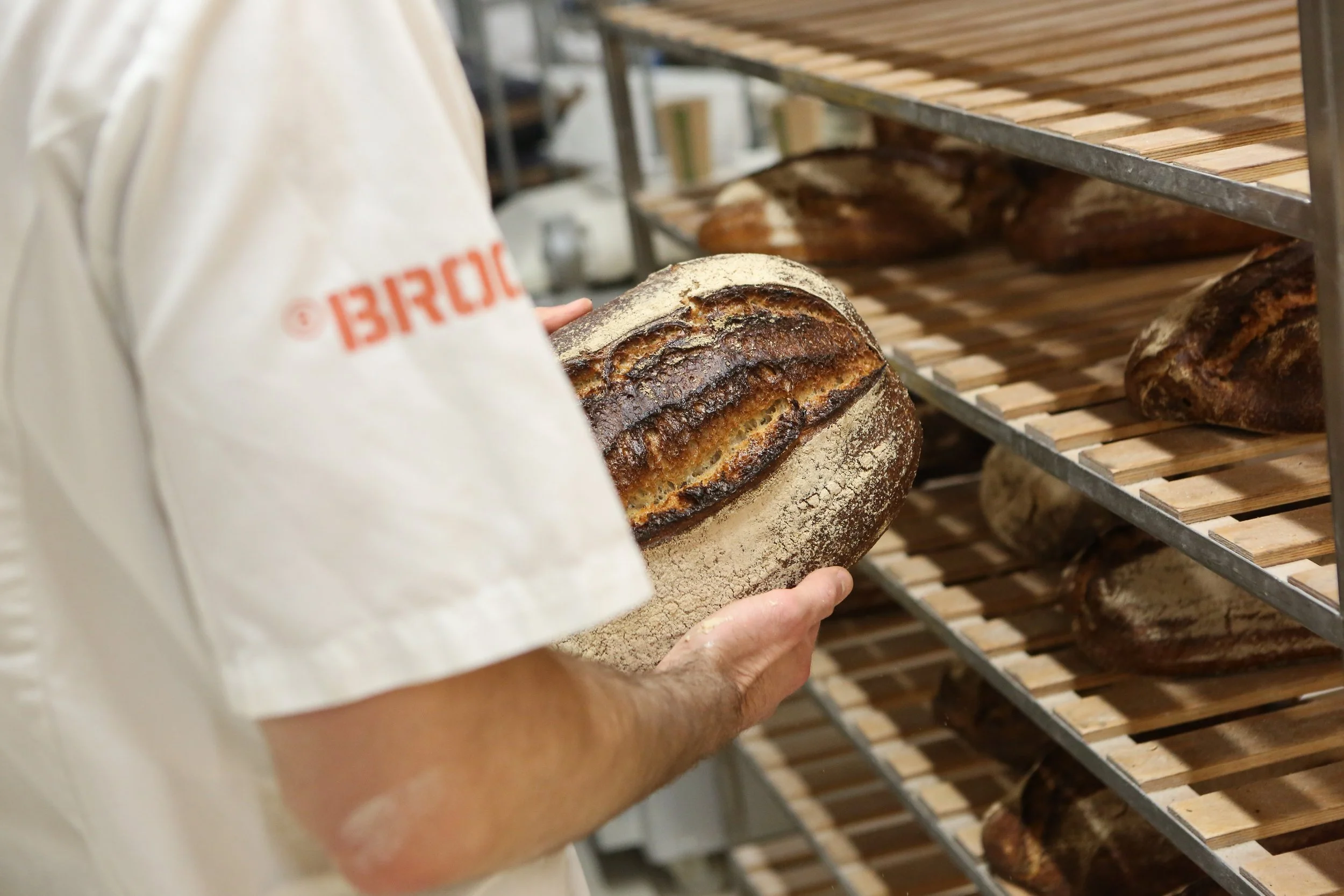 Ons verhaal — Bbrood