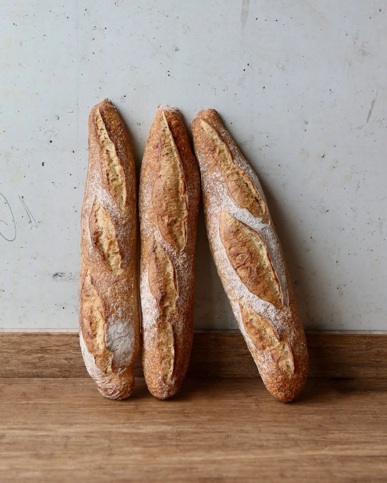 Winkels — Bbrood