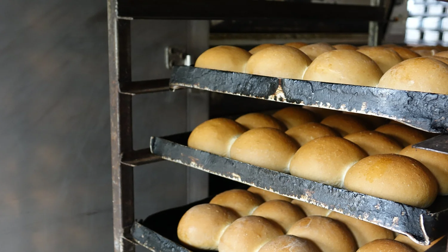 Ons verhaal — Bbrood