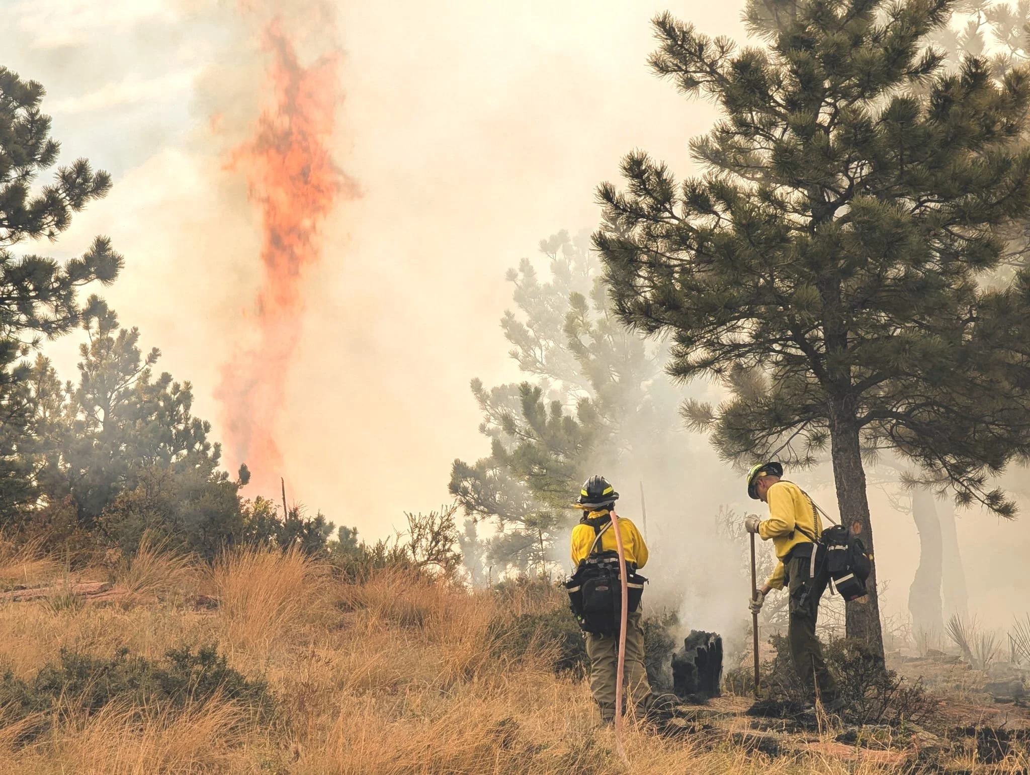 Auxiliary | Support Fire Safety - Join Us Today — Lyons Fire Protection District