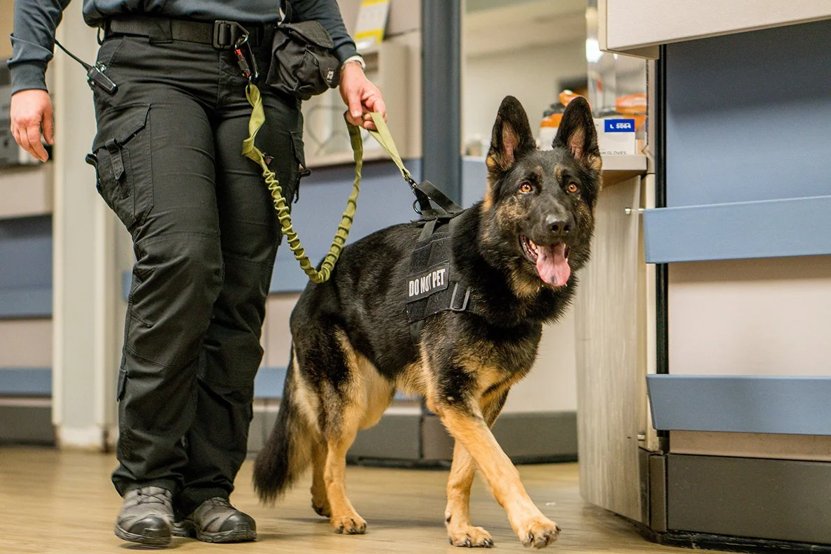 Hospitals — Zebra K9 Advanced Security Services