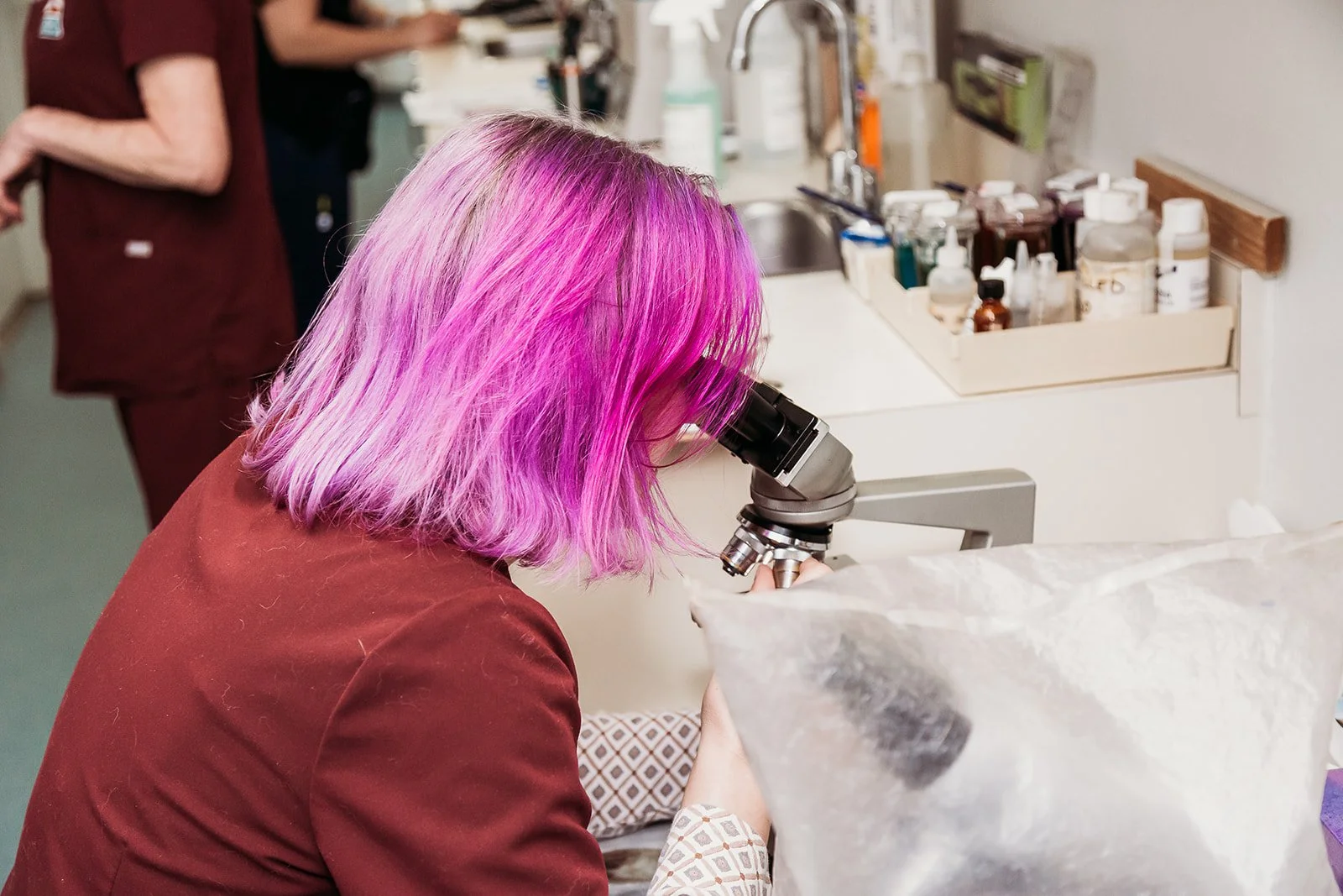 In House Laboratory — Rio Bravo Veterinary Hospital
