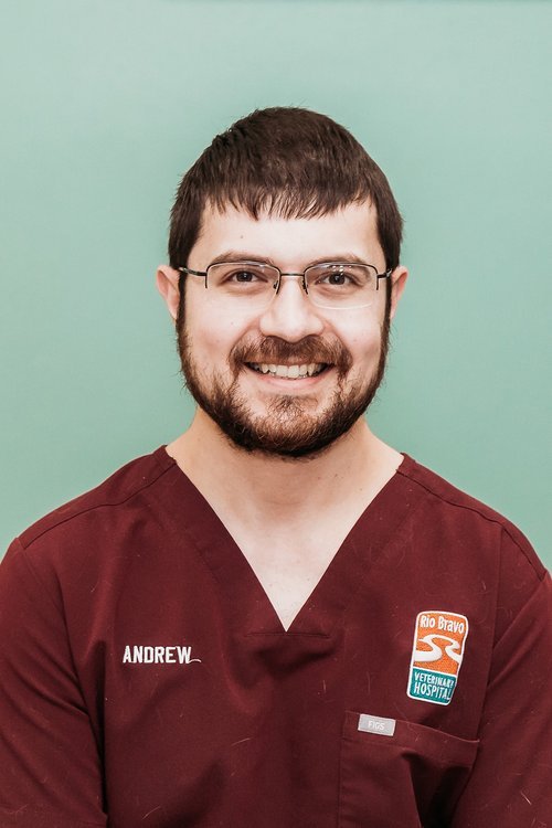 Meet the Team — Rio Bravo Veterinary Hospital