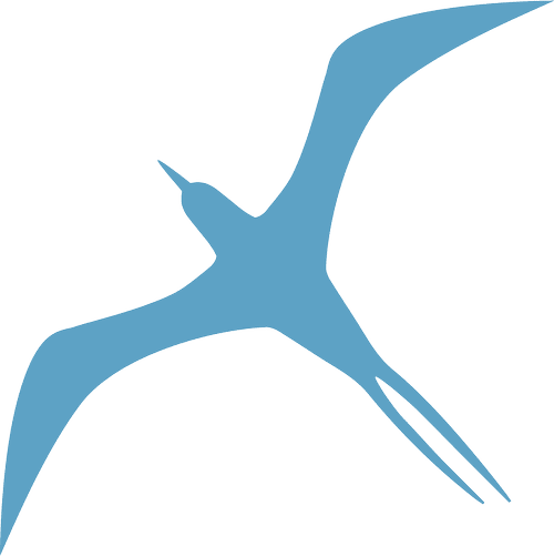 Pacific Vision Aotearoa