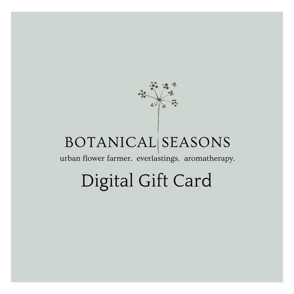 Fresh Flowers, Everlastings, Aromatherapy, Natural Skin Care