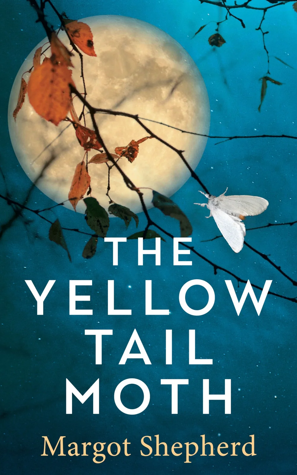 The Yellow-Tail Moth by Margot Shepherd
