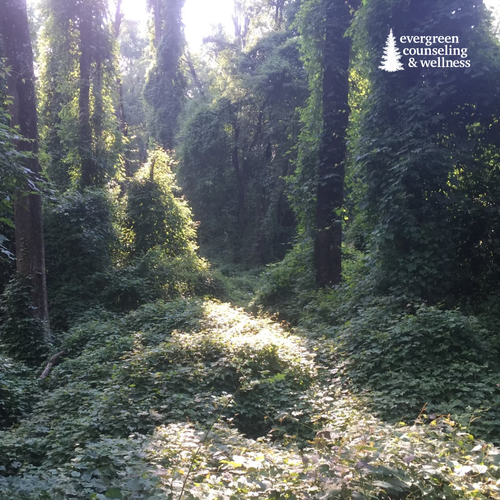 Step Outdoors: The Therapeutic Benefits of Being Outside — Evergreen ...