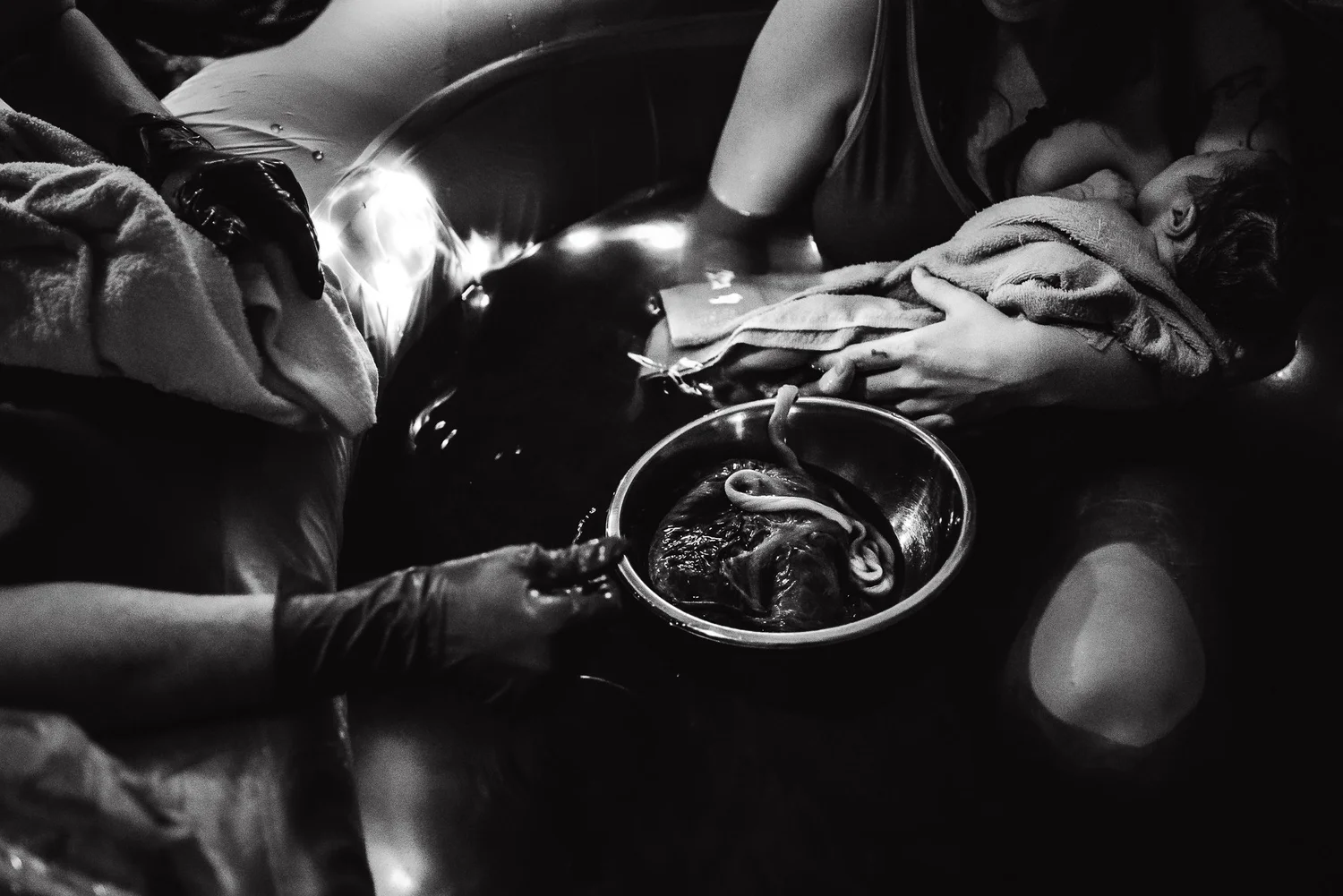 Five things friday: the amazing placenta — Badger & Quill Photography | Harrisburg Birth ...