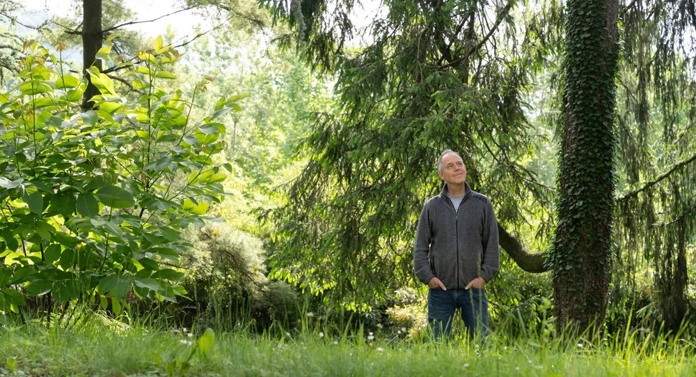 NEW ALBUM - THE WAY I TELL THE STORY — David Wilcox
