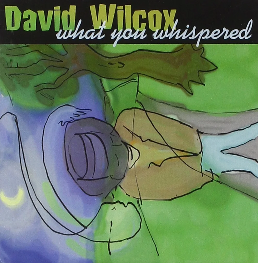 David Wilcox Albums — David Wilcox