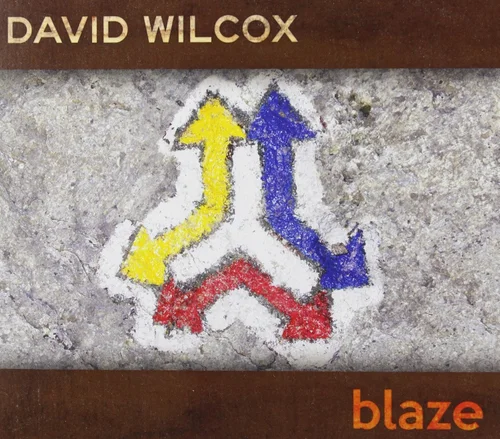 David Wilcox - American Folk-Musician