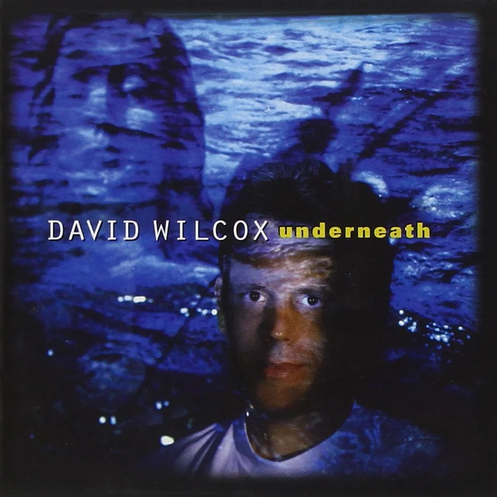 David Wilcox Albums — David Wilcox