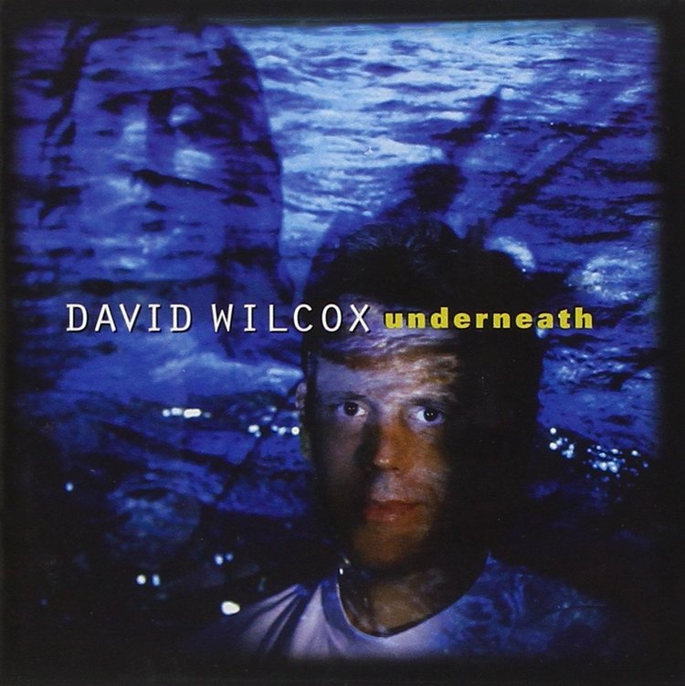 David Wilcox Albums — David Wilcox