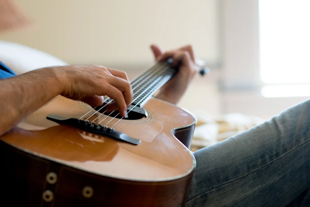 David Wilcox - American Folk-Musician