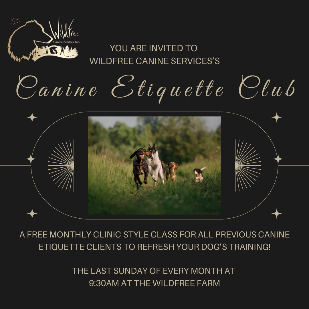Canine Etiquette Course — WildFree Canine Services Inc.
