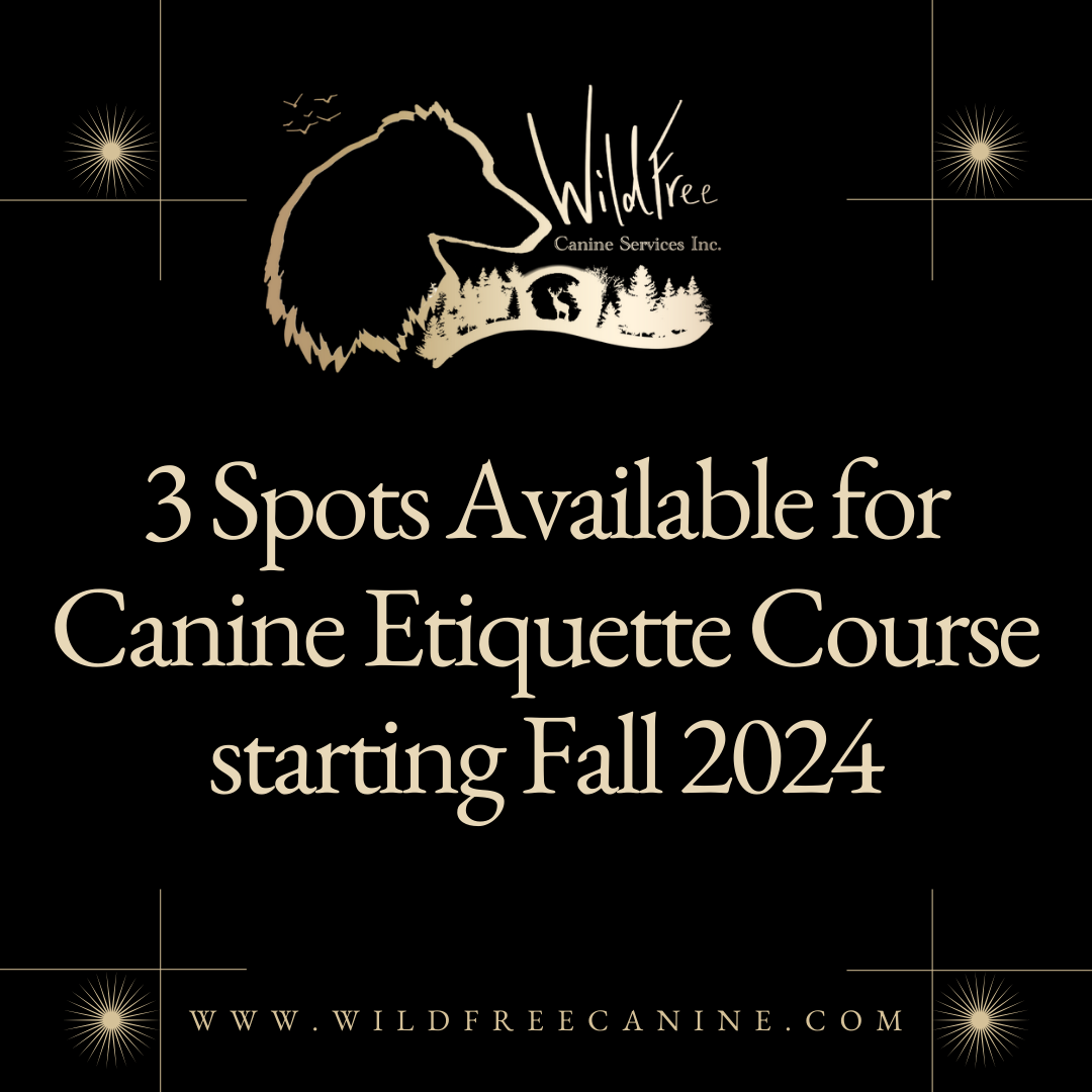 WildFree Canine Services Inc.
