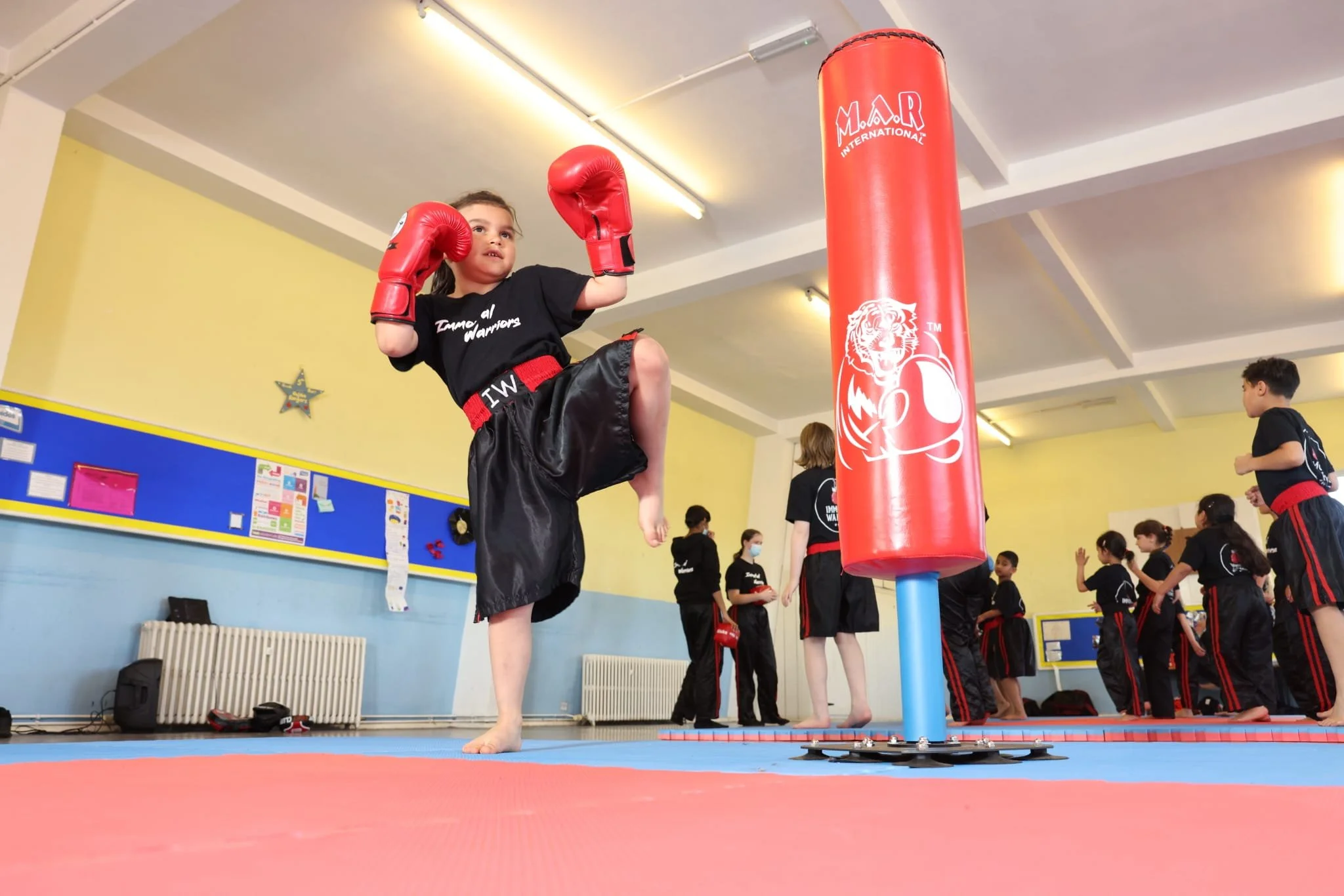 Kickboxing — Immortal Warriors