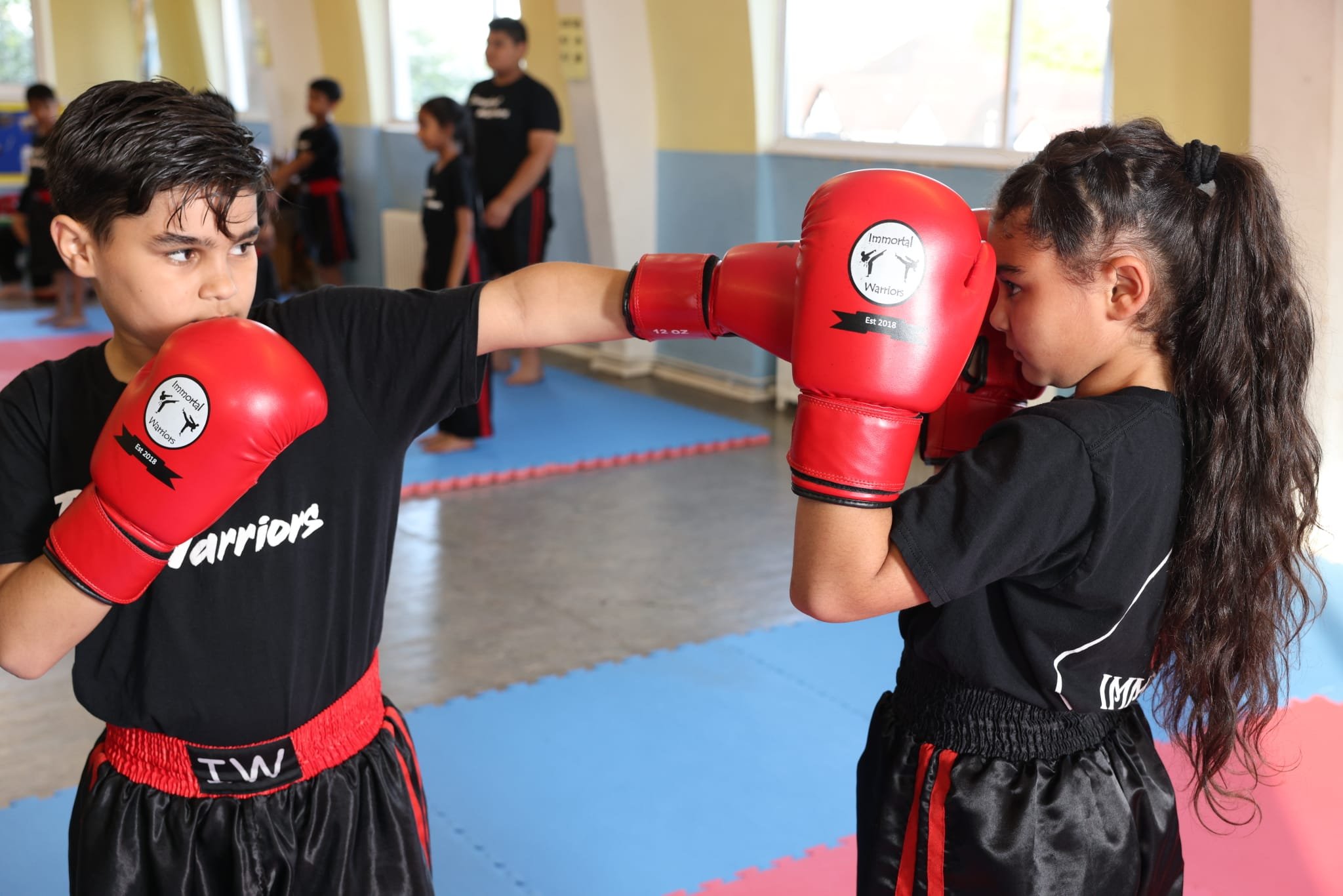 Boxing — Immortal Warriors