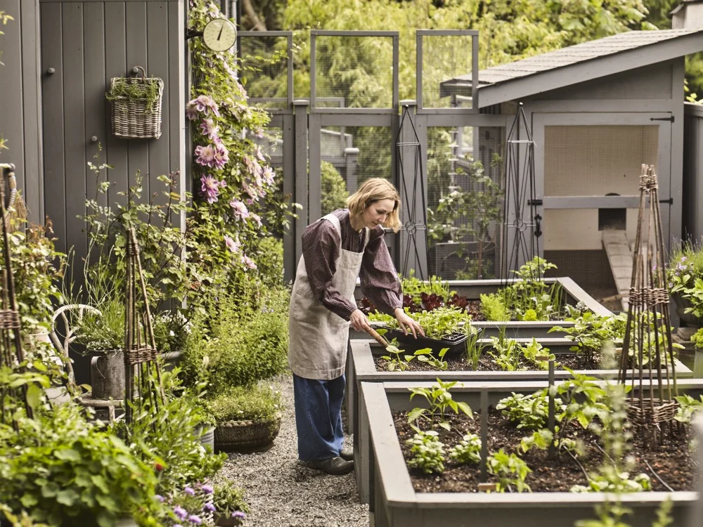 Buy The Side Gardener — Rosie Daykin