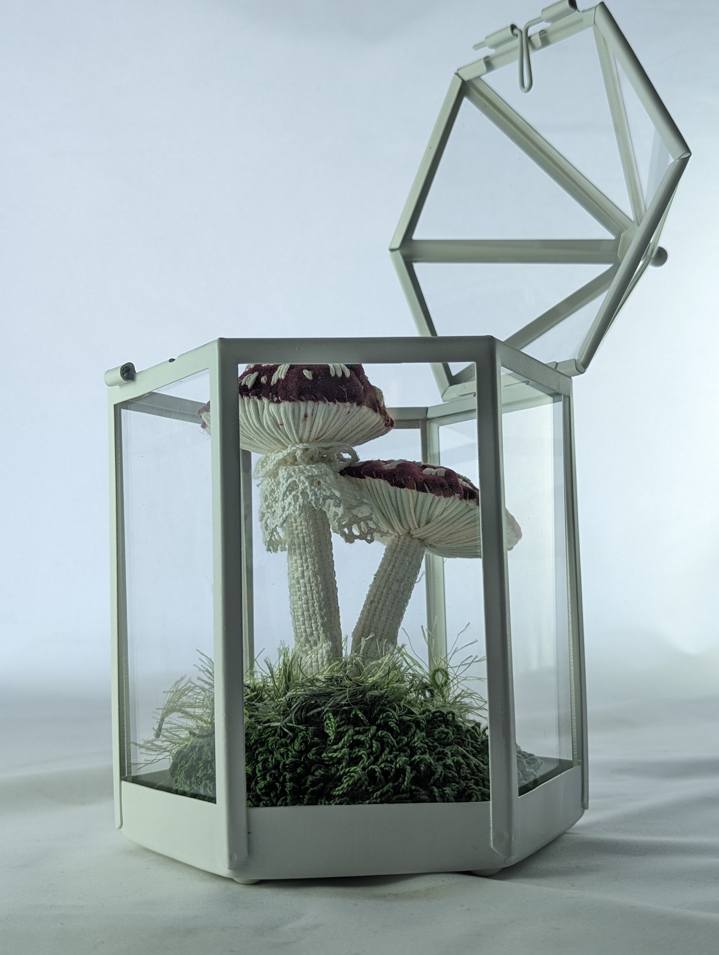 Fiber inky cap mushroom terrarium — Kim Tepe Fiber Artist