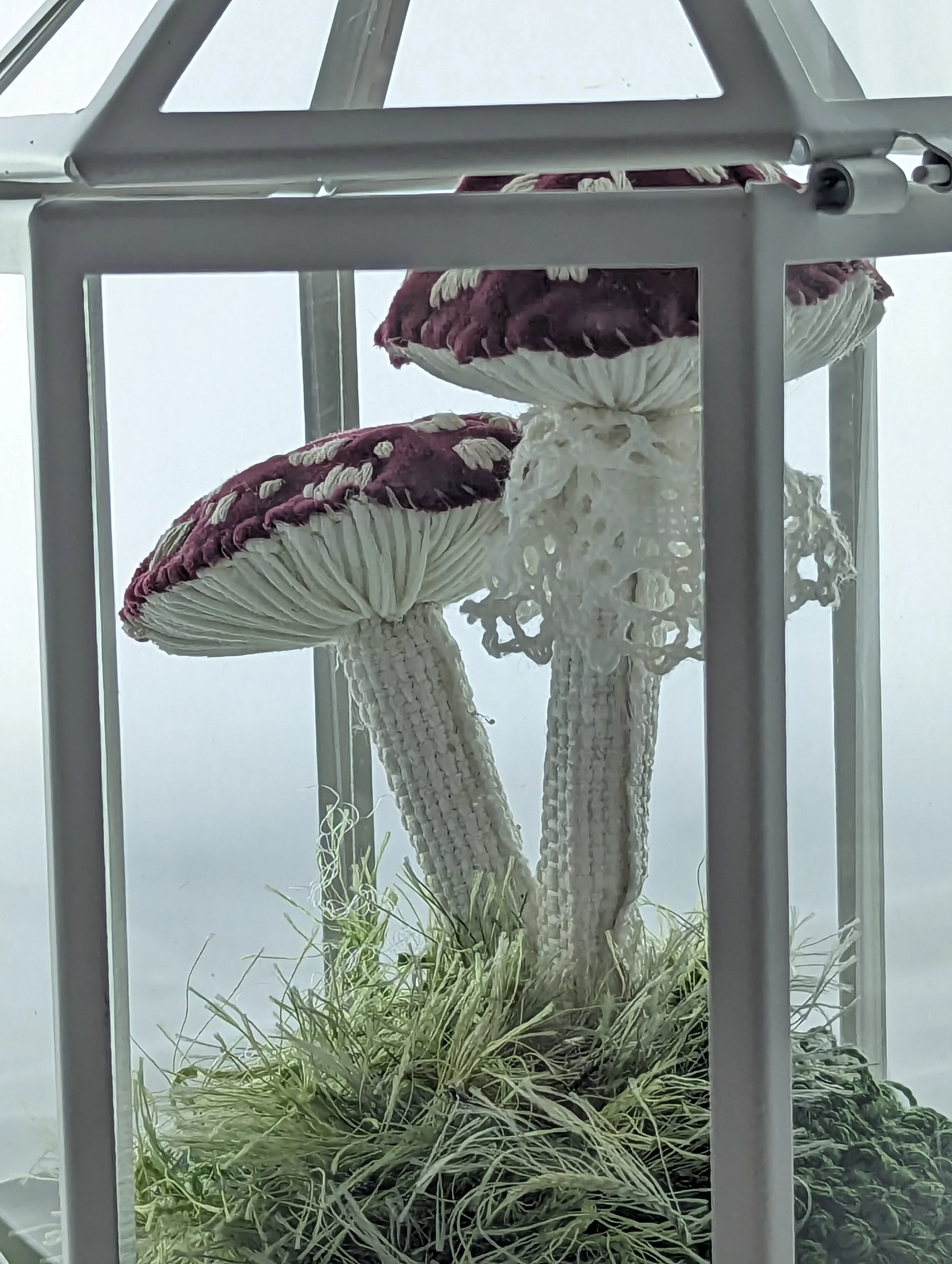 Fiber inky cap mushroom terrarium — Kim Tepe Fiber Artist