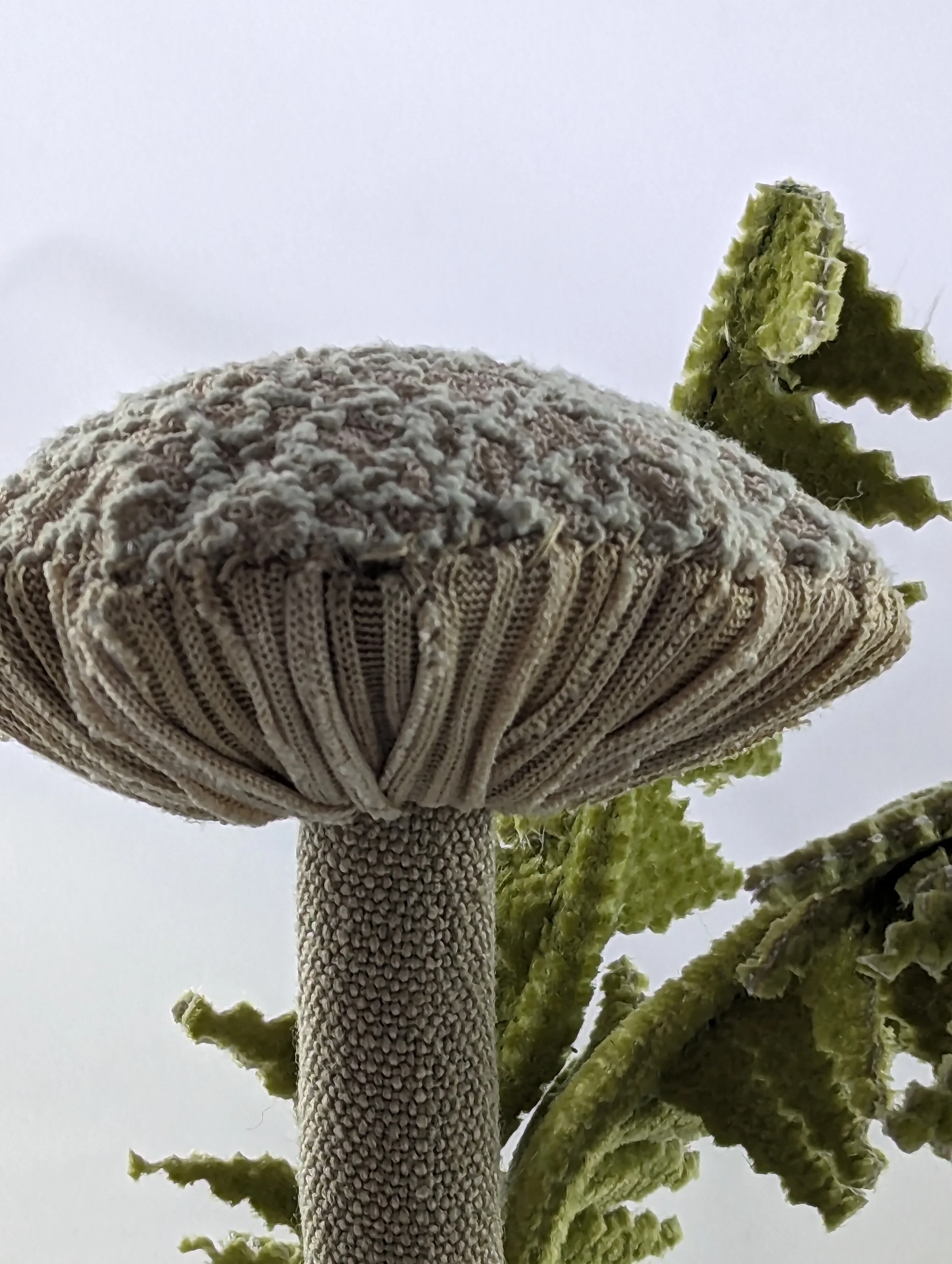 Fiber inky cap mushroom terrarium — Kim Tepe Fiber Artist