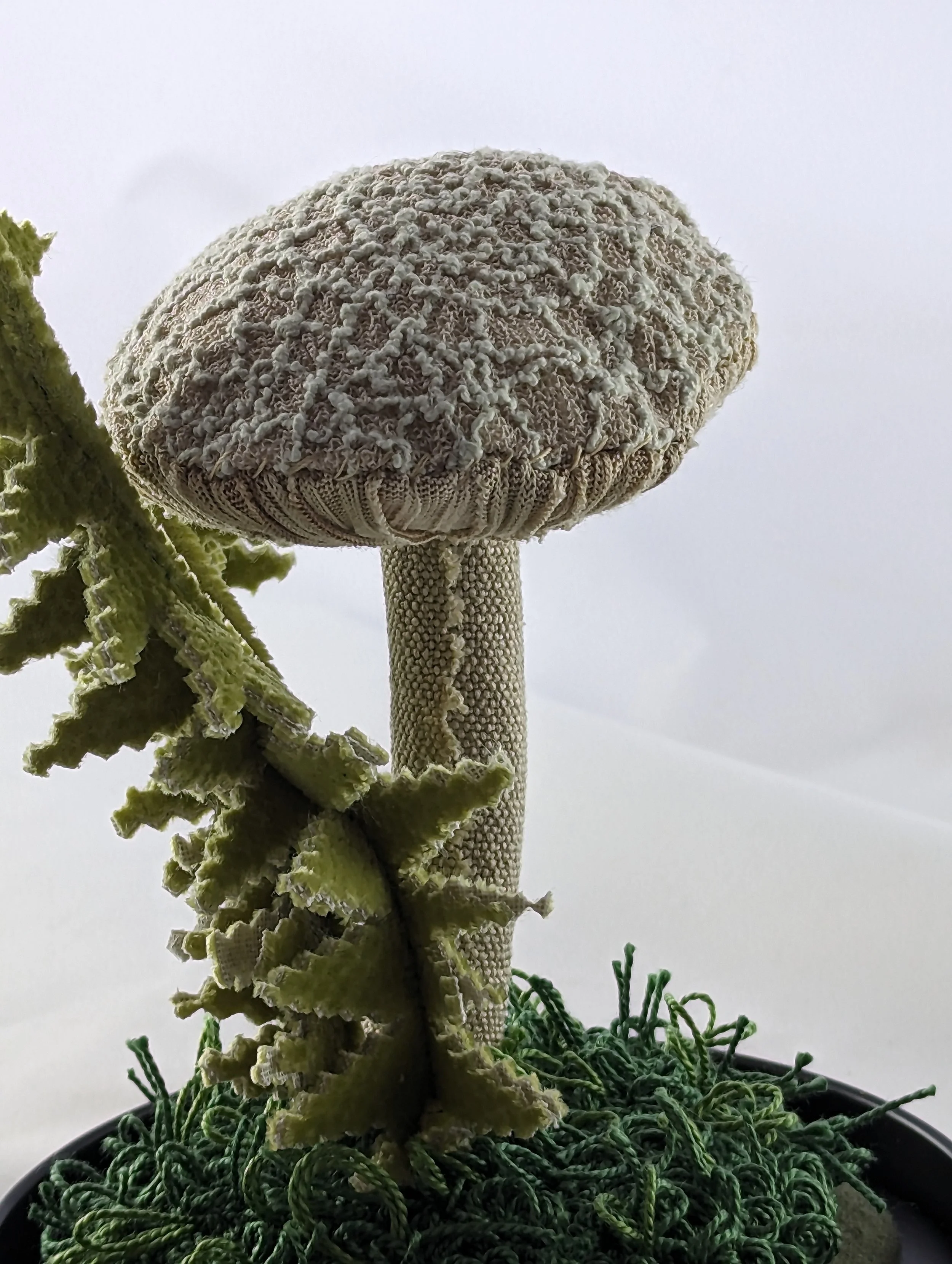 Fiber inky cap mushroom terrarium — Kim Tepe Fiber Artist