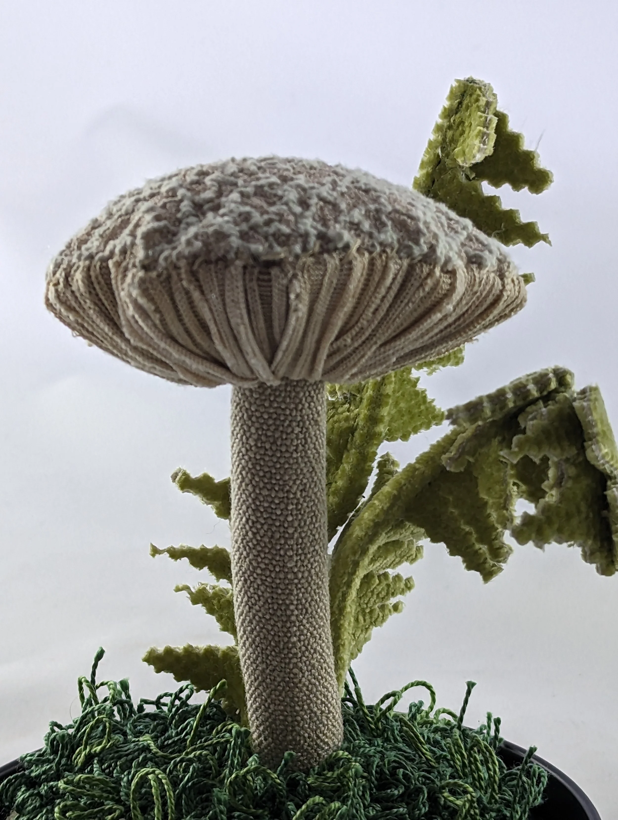 Fiber inky cap mushroom terrarium — Kim Tepe Fiber Artist