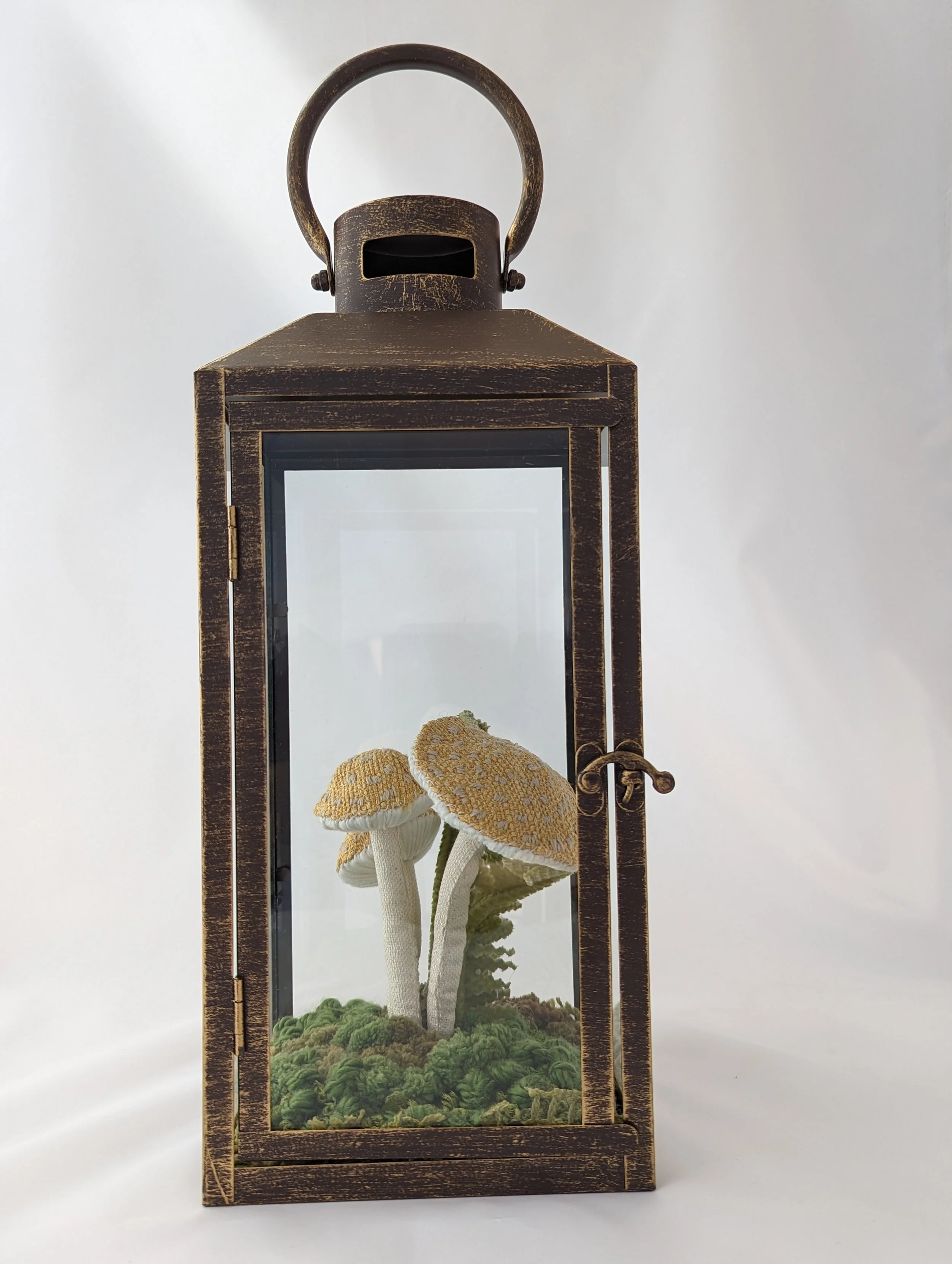 Fiber inky cap mushroom terrarium — Kim Tepe Fiber Artist